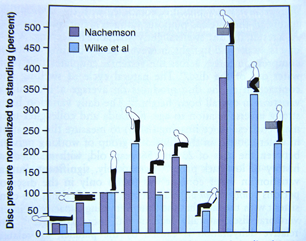 How much do you know about your disc | Joondalup, Perth Chiropractor ...
